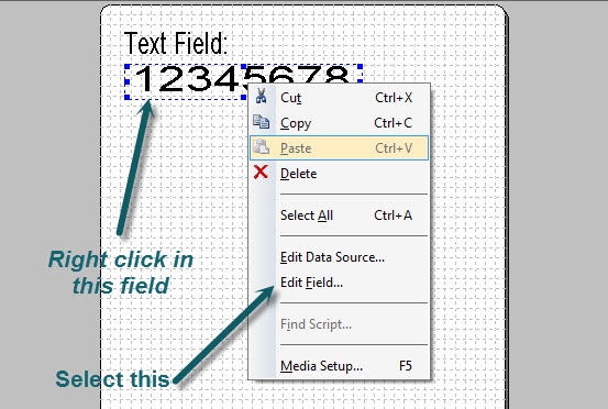 How to Add Special Characters (extended ASCII) to a Label in a Fixed Field